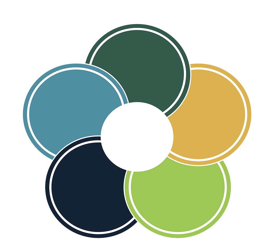 Friends – Pathways to Inclusive Education